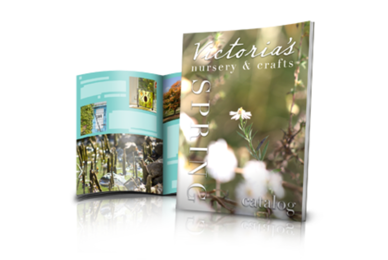 Custom booklet printing - Scantech Graphics